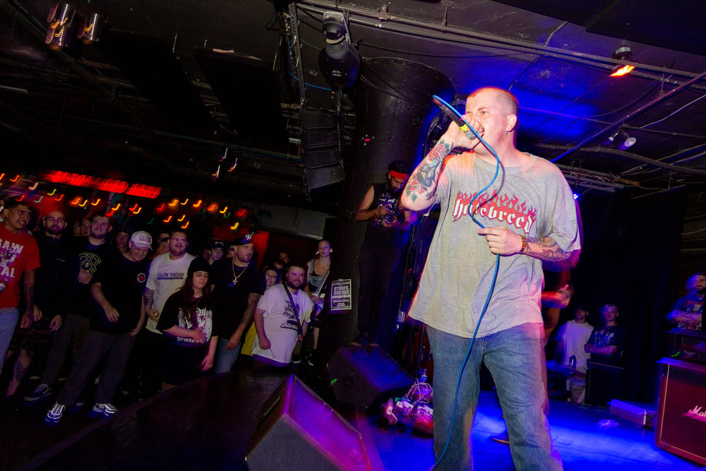 Collections – DAZE