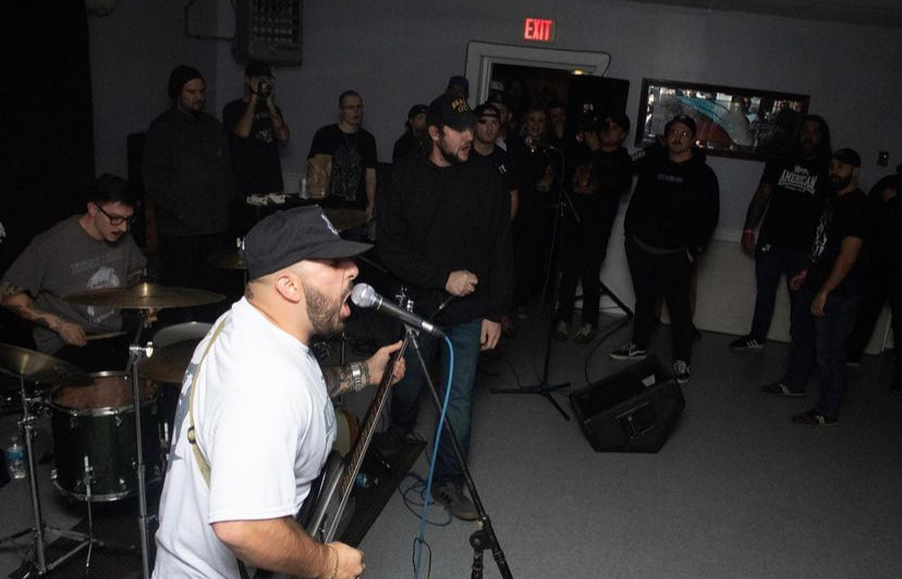 Collections – DAZE