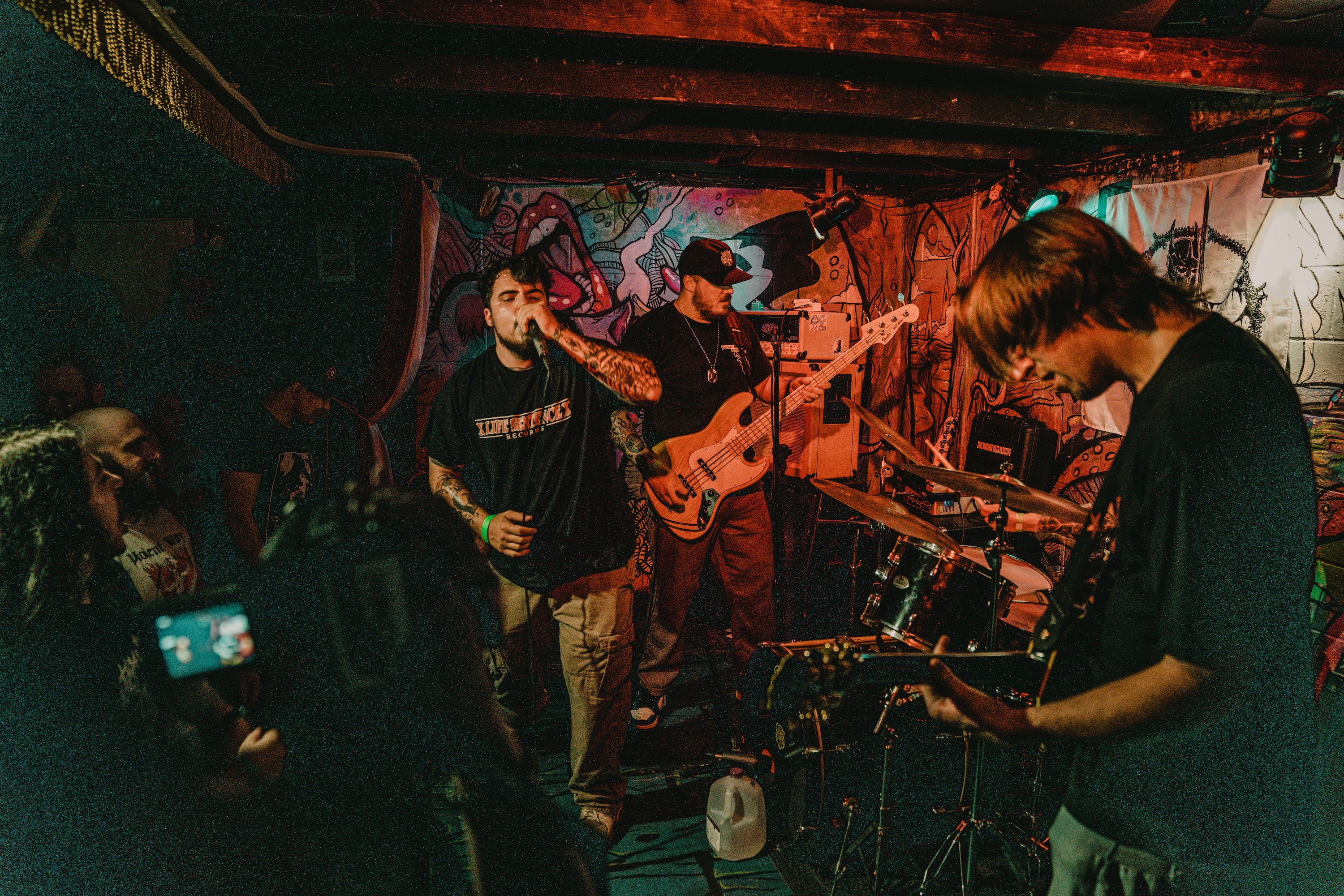 Collections – DAZE